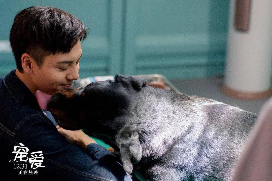 Adoring Chinese Movie Review - Cnovelholic.com