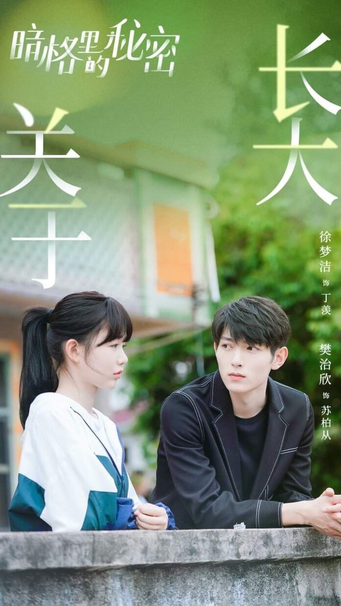 Our Secret Chinese Drama Review - Cnovelholic.com