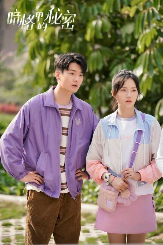 Our Secret Chinese Drama Review - Cnovelholic.com