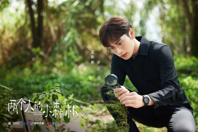 A Romance of the Little Forest Drama Review - Cnovelholic