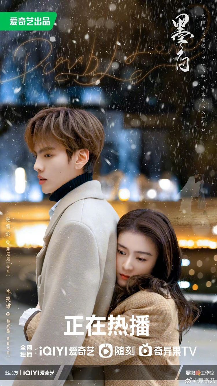 Double Love Drama Review - Cnovelholic.com