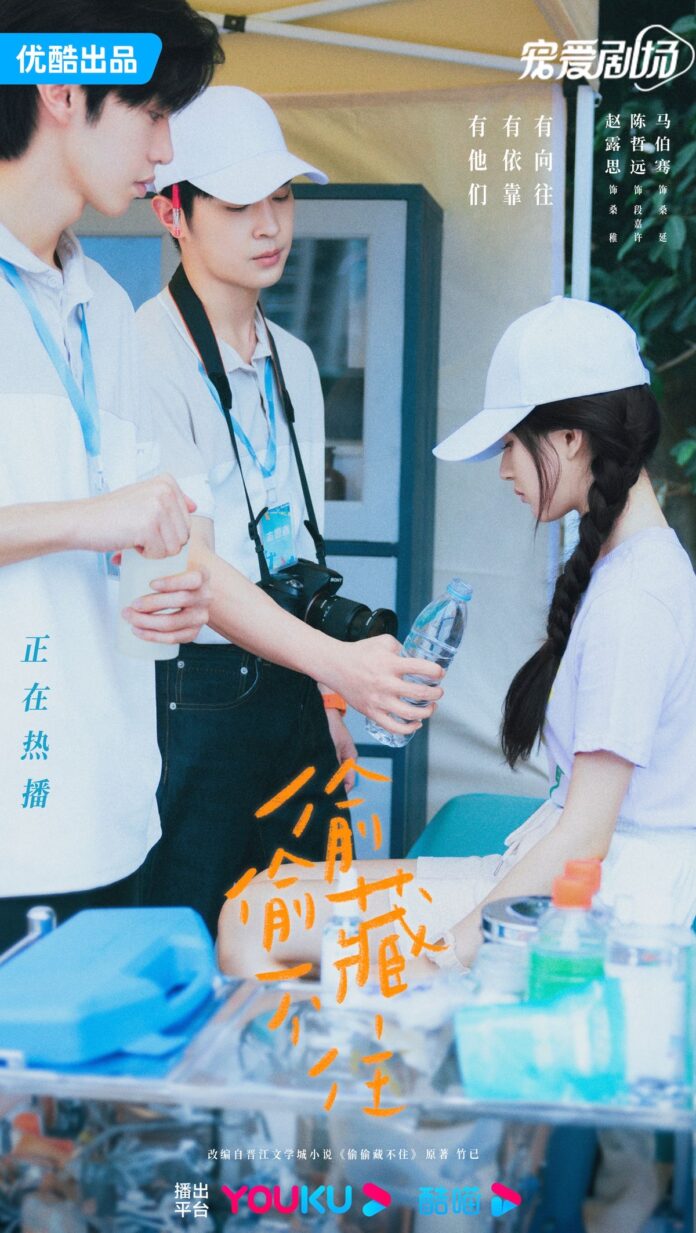 Hidden Love Drama Review - Cnovelholic.com