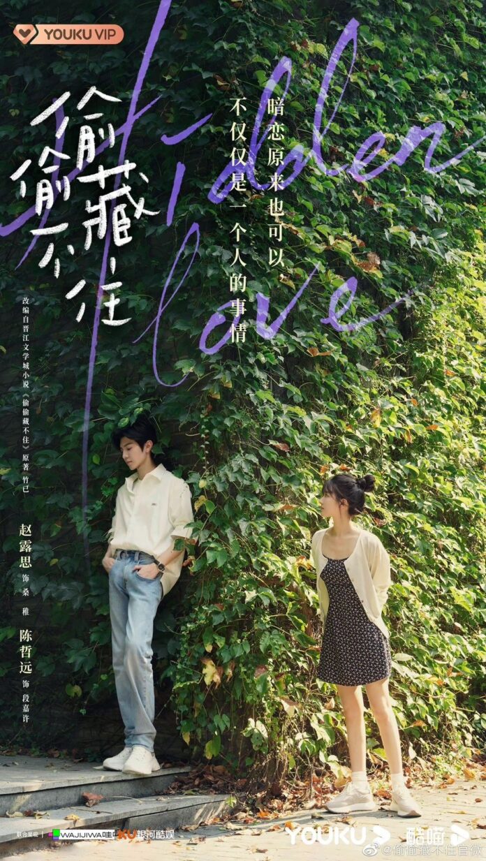 Hidden Love Drama Review - Cnovelholic.com