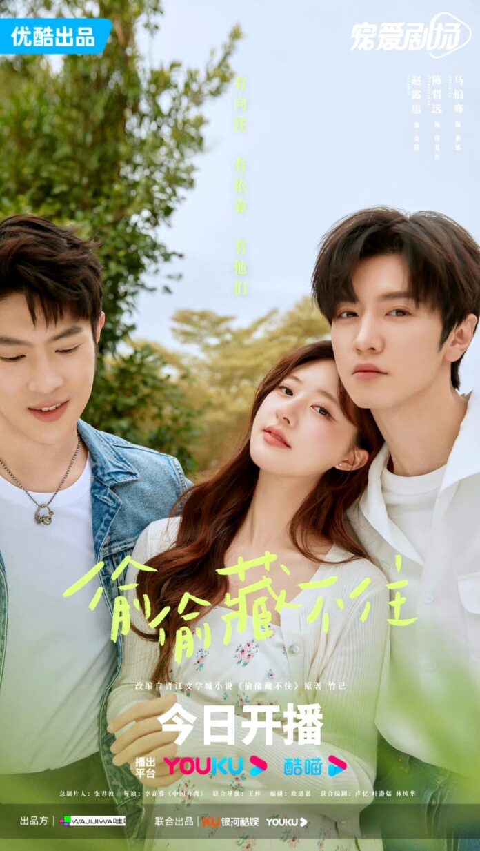 Hidden Love Drama Review - Cnovelholic.com