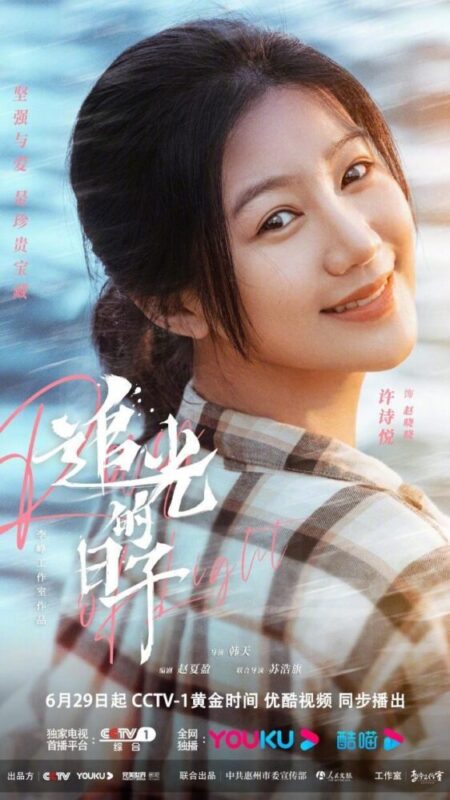 Ray of Light Ending Explained - Cnovelholic.com