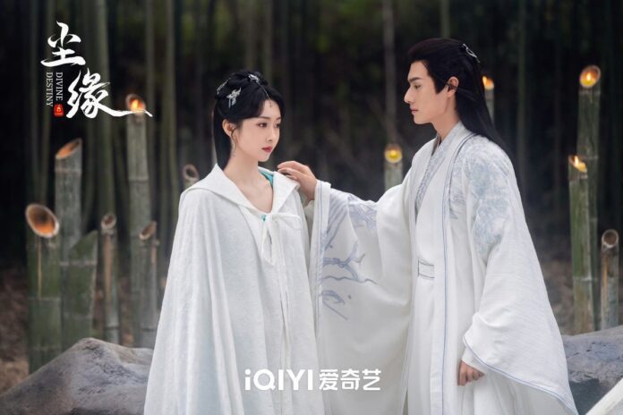 Divine Destiny Drama Review - Cnovelholic.com
