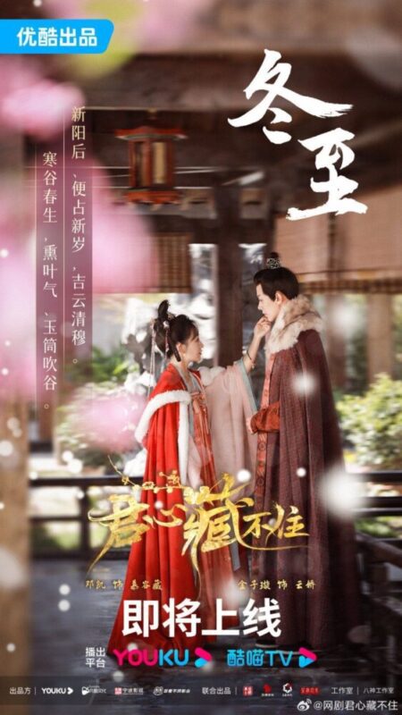 Governor’s Secret Lover Drama Review - Cnovelholic.com