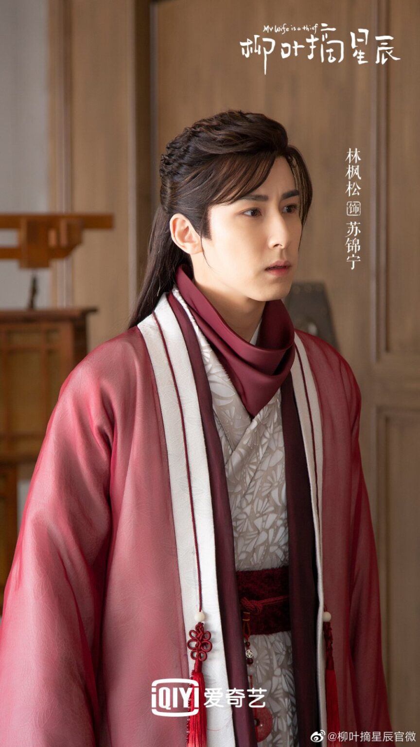 My Wife’s Double Life Drama Review - Cnovelholic.com