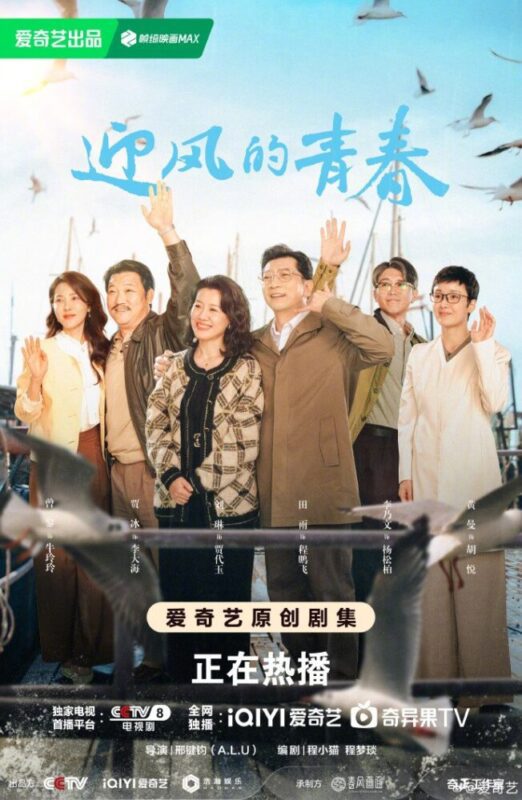 Wind Direction Drama Review - Cnovelholic.com