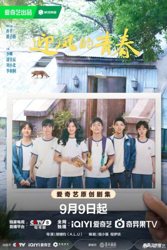 Wind Direction Drama Review - Cnovelholic.com