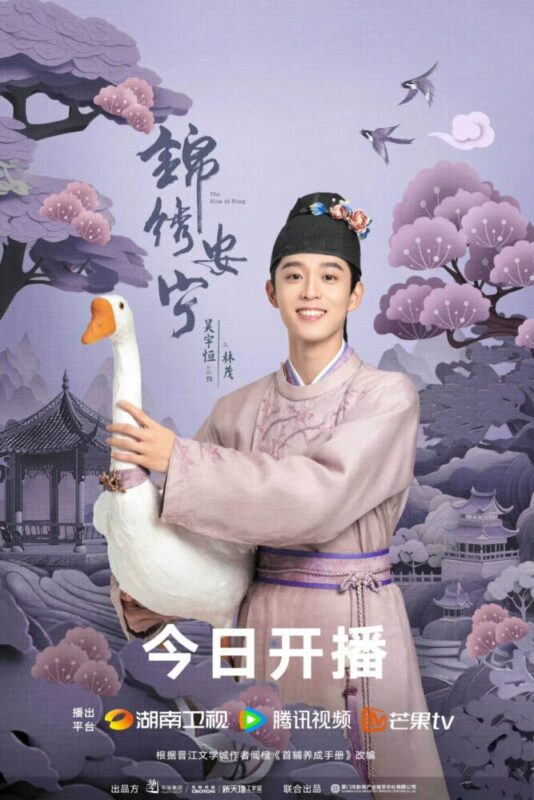 The Rise of Ning Drama Review - Cnovelholic.com